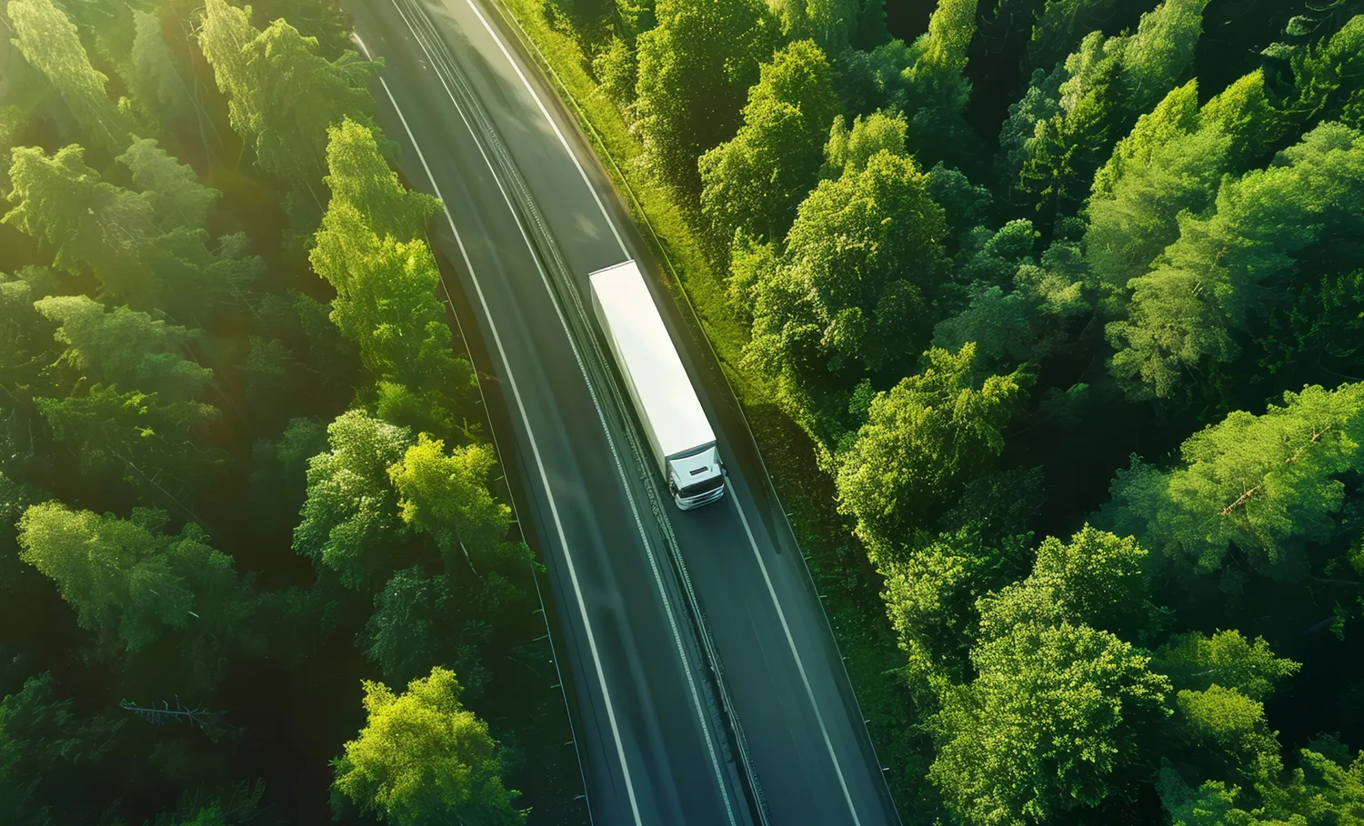 EU ETS and What It Means for Your Business